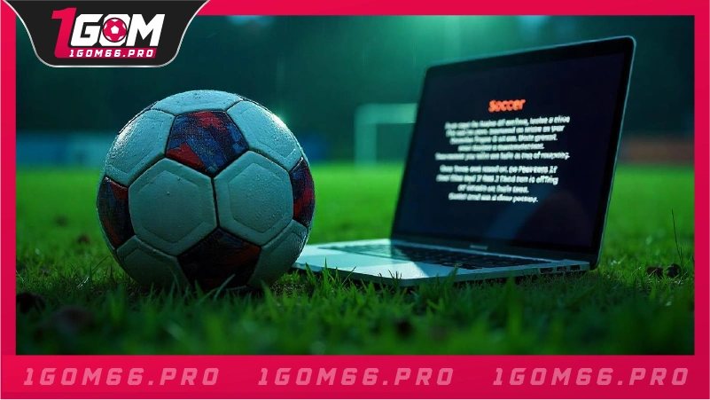 Nhà cái thể thao tại 1GOM và tiêu chí, lợi ích và lưu ý khi lựa chọn - 1GOM